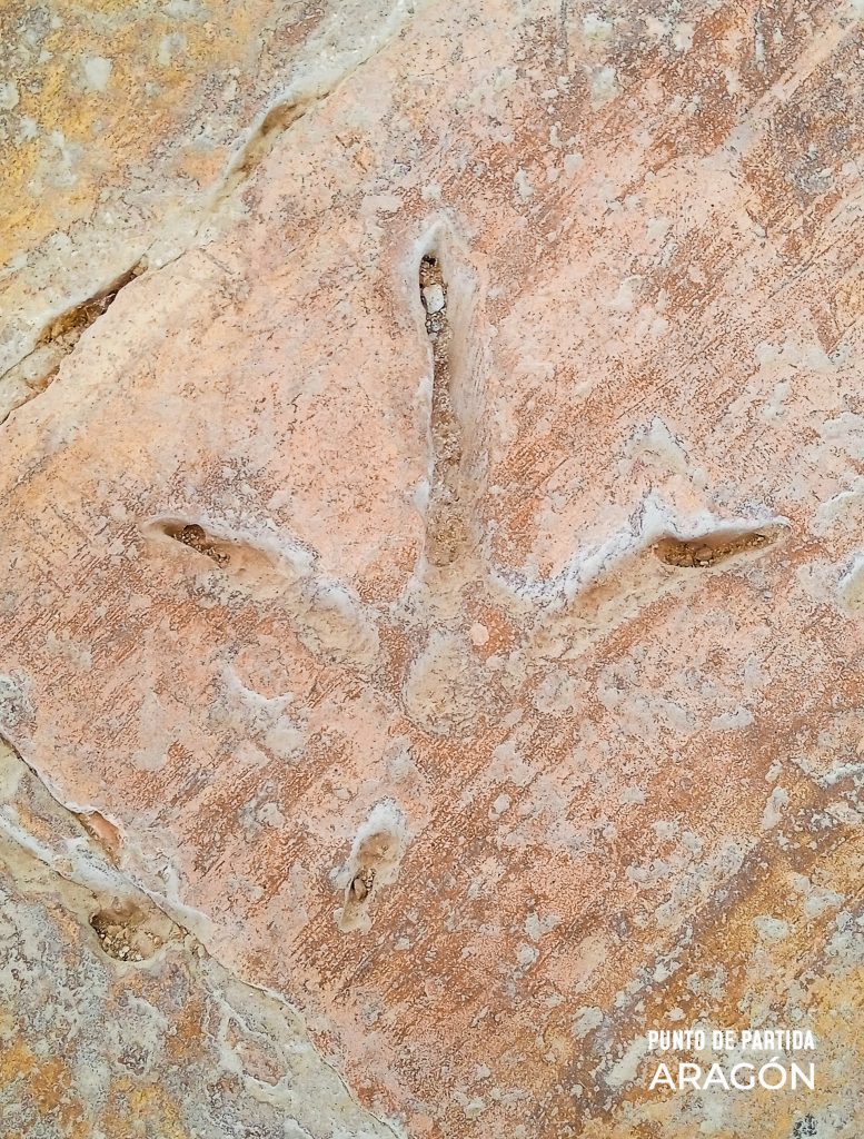 CÓMO VISITAR LA CARTUJA DE LAS FUENTES EN LOS MONEGROS | Punto de ...